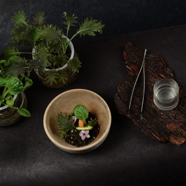 Menù Ristorante Stellato Piccolo Lago | Chef Marco Sacco